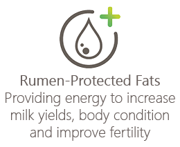 Welcome to Volac: Dairy Nutrition for a Healthier World